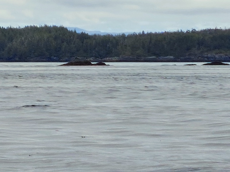 Harbored in Allison Harbour – Braesail – A grand yacht in the Salish Sea