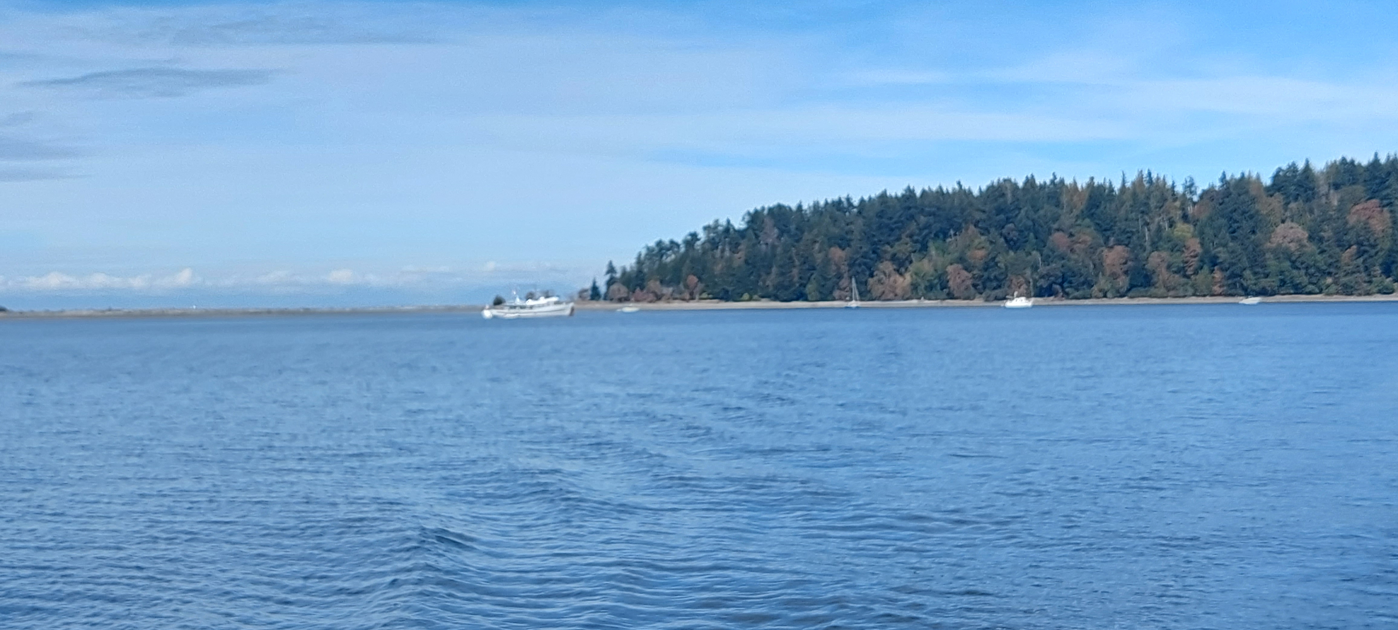 Happiness in Henry Bay – Braesail – A grand yacht in the Salish Sea