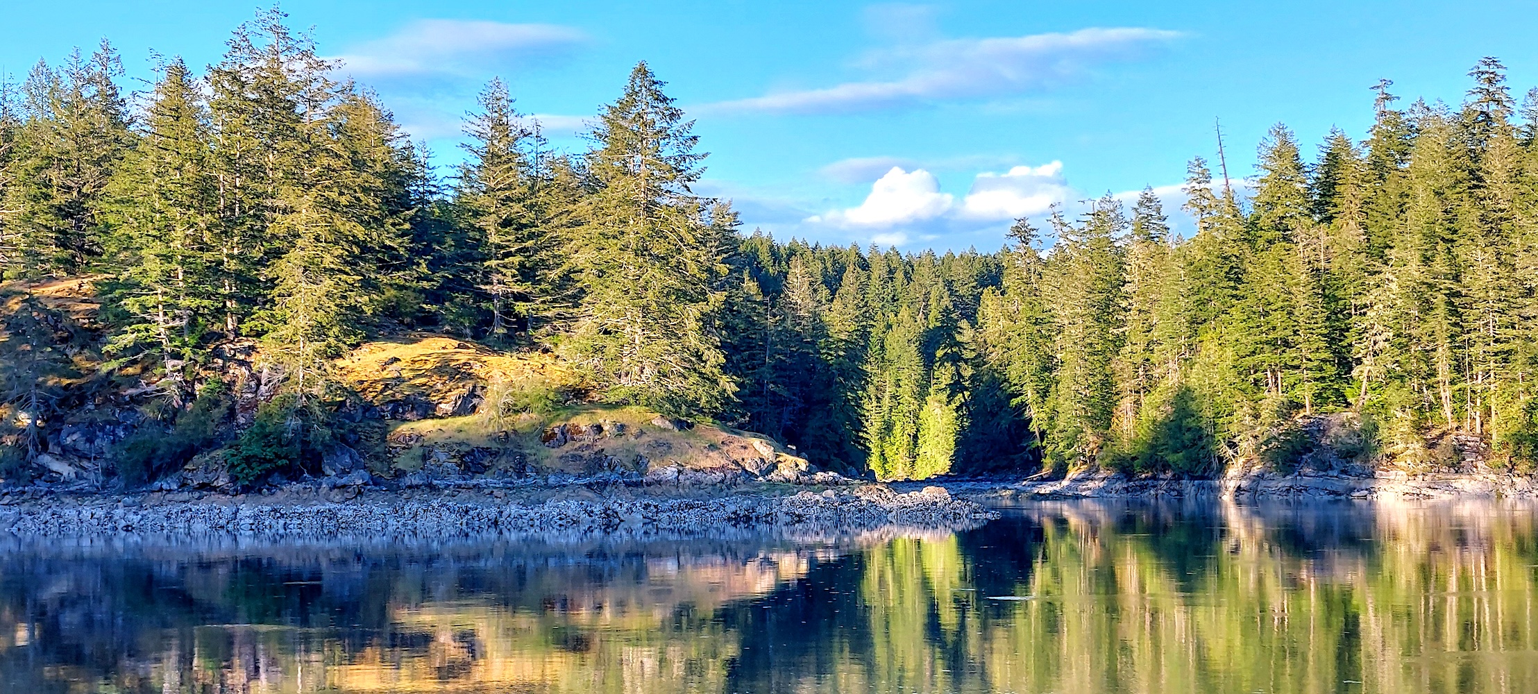 What to do and how to do it? – Braesail – A grand yacht in the Salish Sea